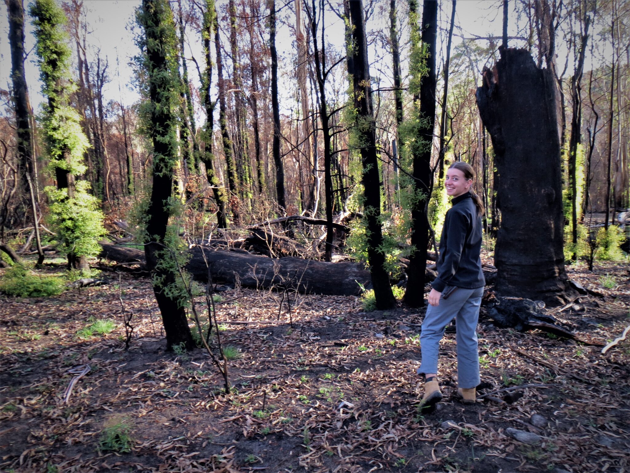 Our news, naturally – Spring edition - Natural Resources Conservation Trust